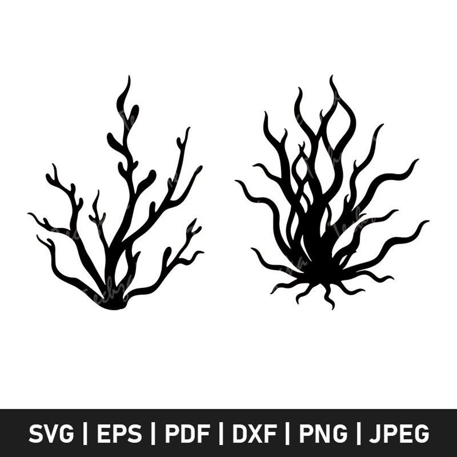 Seaweed SVG, Seaweed Silhouette, Seaweed Clipart, Seaweed Vector ...
