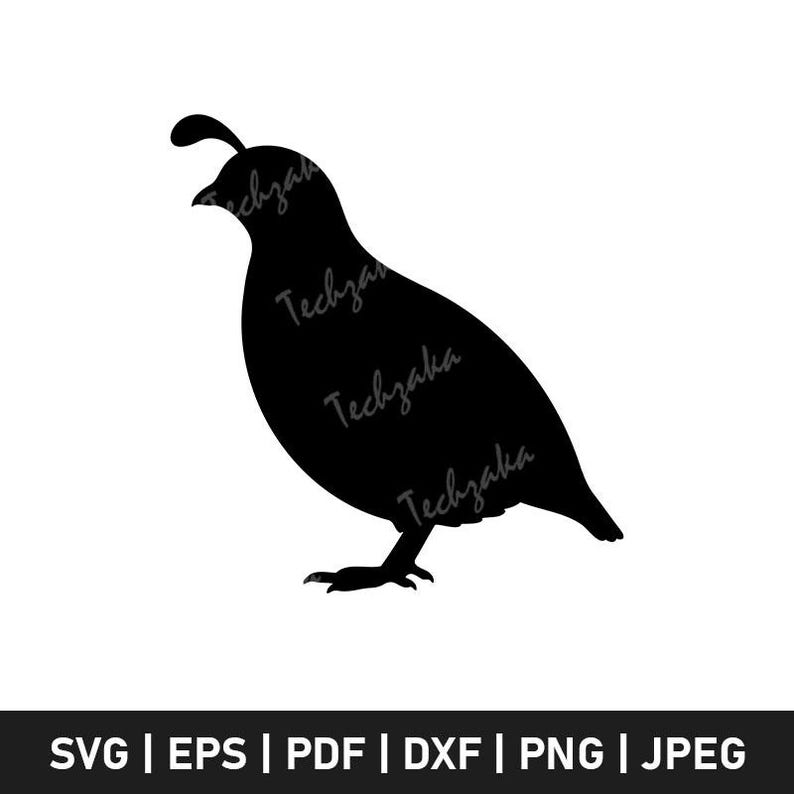 Quail SVG, Game Bird Quail Silhouette, Farm Bird Clipart, Wildlife SVG ...