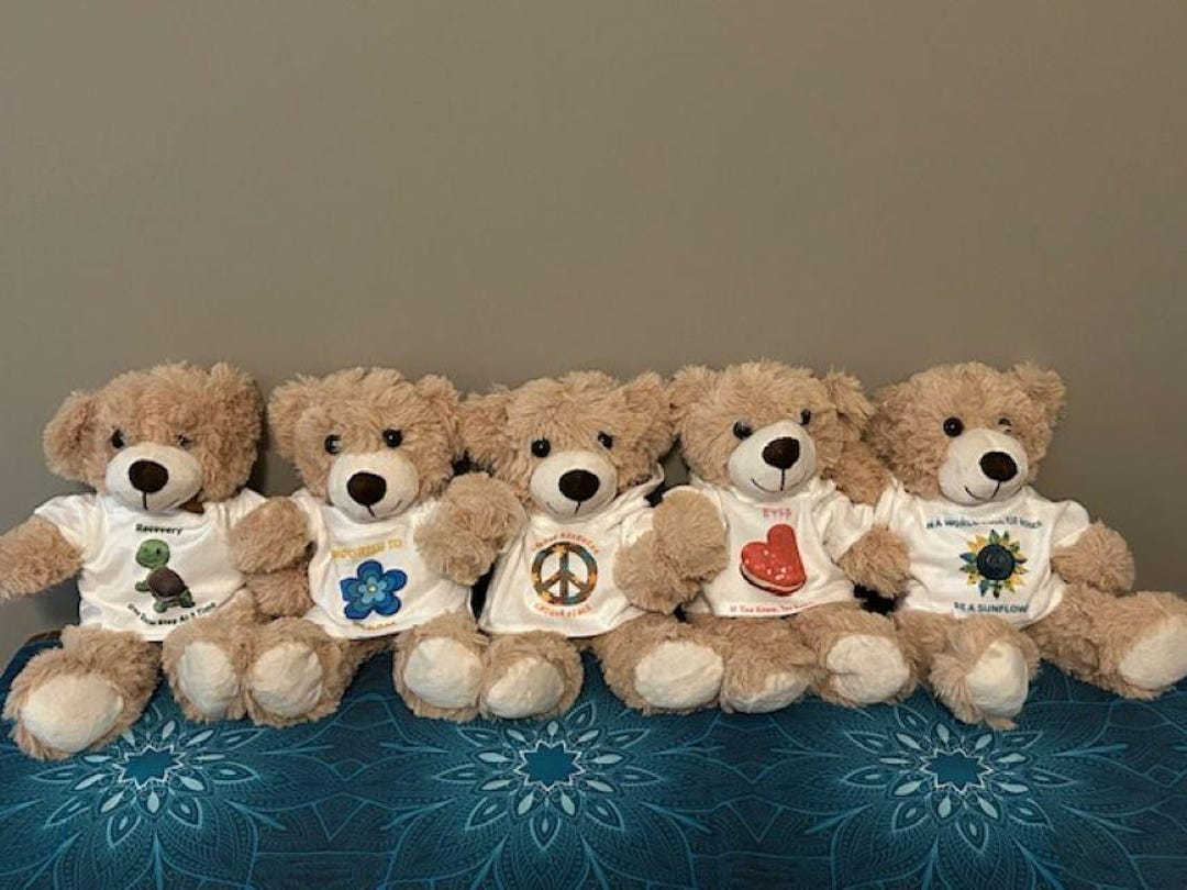 Eating Disorder Recovery Teddy Bear: Inspirational Support Plush - Etsy