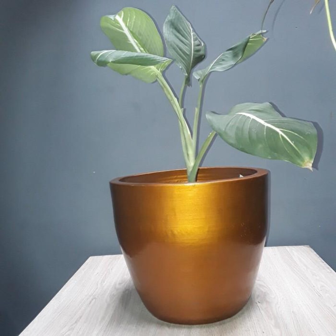 Gold Terracotta Clay Planter – Handmade Decorative Pot – 45cm Diameter ...