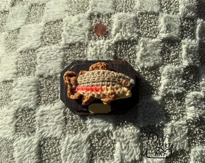 Small Crochet Rainbow Trout Fish Trophy on a Plaque, A Whimsical ...