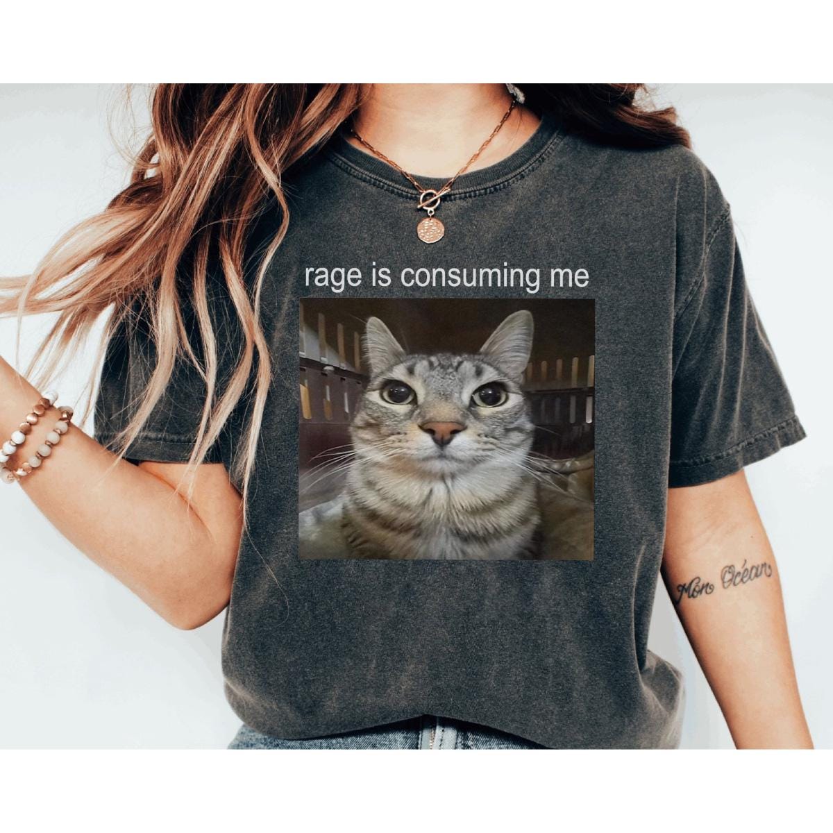Rage is Consuming Me Png, Cat Meme Png, Funny Sarcastic Png, Digital ...