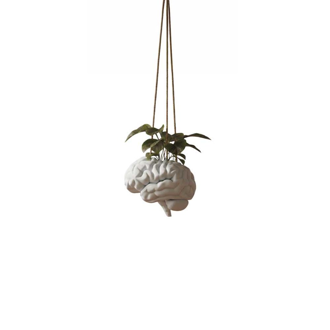 Decorative Brain Flower Pot - Etsy