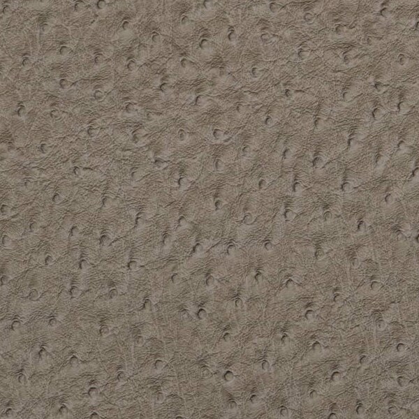 Ostrich Vinyl - Etsy