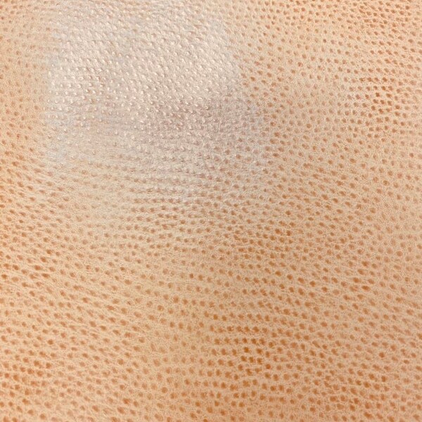 Camel Vinyl Fabric - Etsy