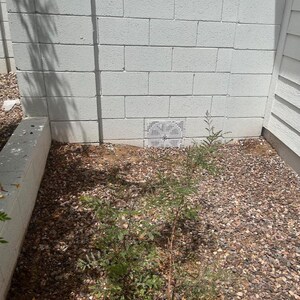 Cinder Block Screen | Decorative Wheel Insert, Fence Grate Cover (set ...