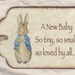 Peter Rabbit Baby Shower Favor Gift Tags Christening Baptism Favor Tags ...
