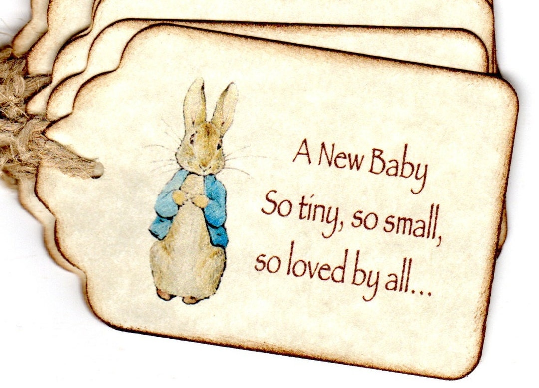Peter Rabbit Baby Shower Favor Gift Tags Christening Baptism Favor Tags ...