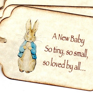 Peter Rabbit Baby Shower Favor Gift Tags Christening Baptism Favor Tags ...