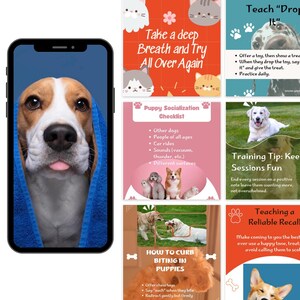40 Dog Training Instagram Post Templates Editable Canva Templates for ...