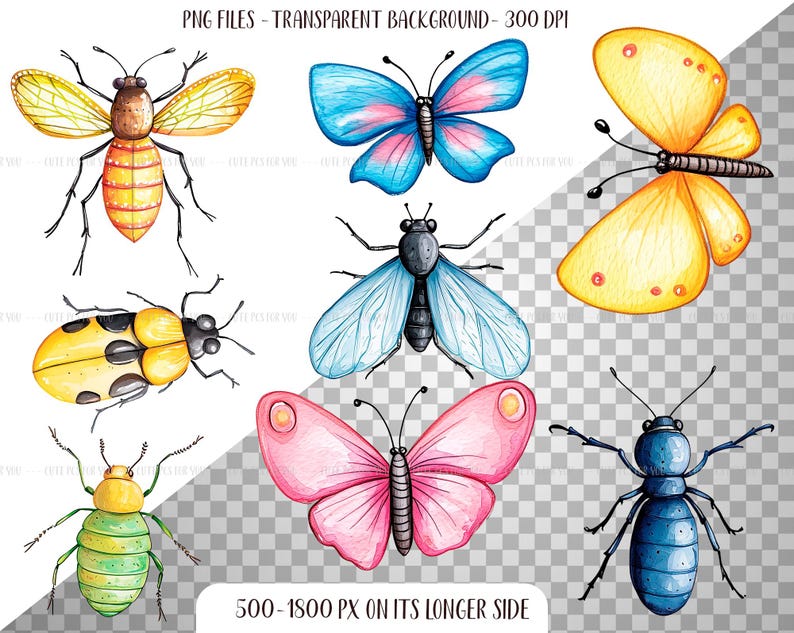 Cute Watercolor Insect Clipart - Funny Bugs PNG - Cartoon Characters ...