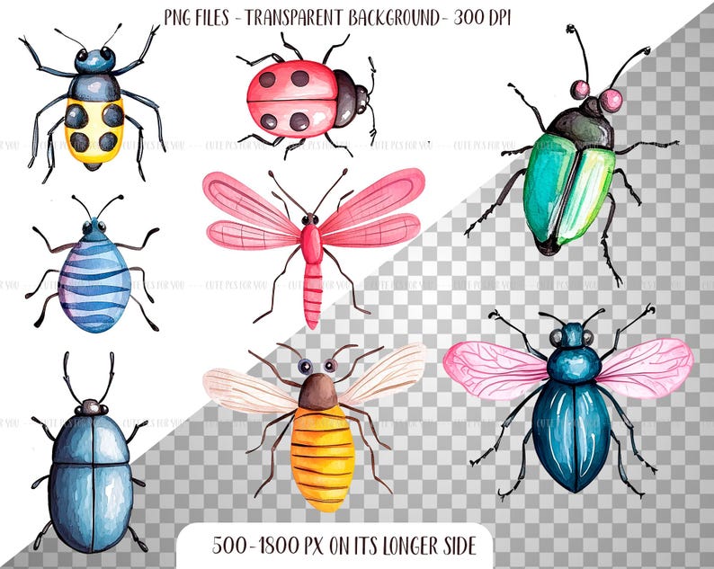 Cute Watercolor Insect Clipart - Funny Bugs PNG - Cartoon Characters ...