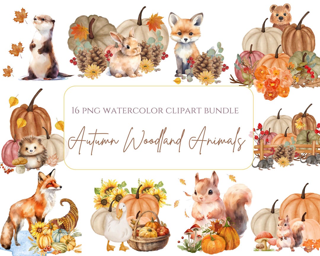 Cute Watercolor Fall Animal Clipart Bundle Autumn Woodland Creatures ...