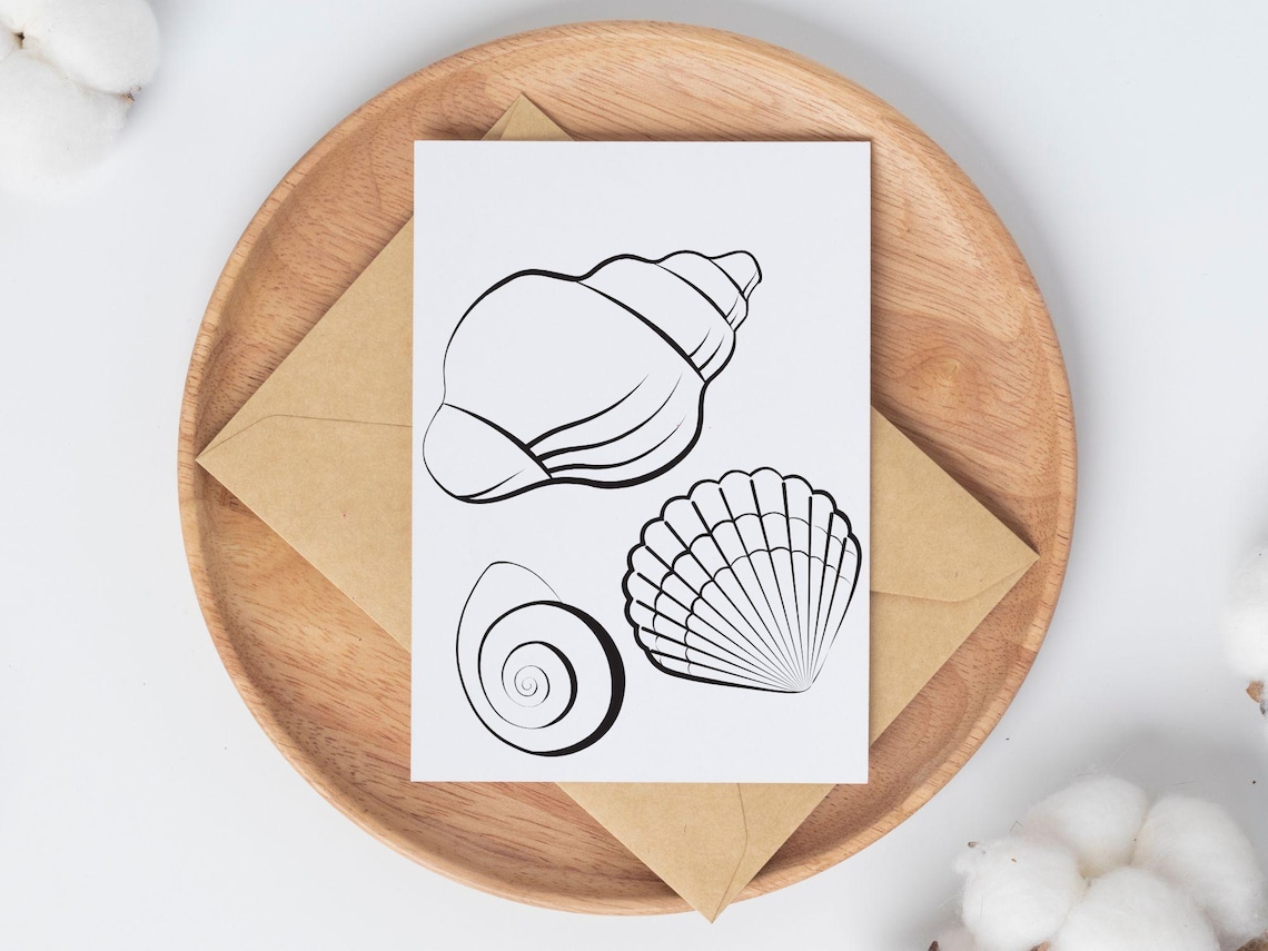 Seashell SVG Bundle: Clipart, Cut Files, Silhouette (digital Download ...