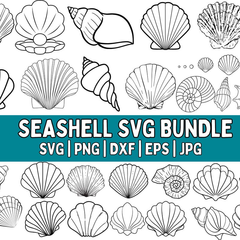 Bra Sea Shell - Etsy