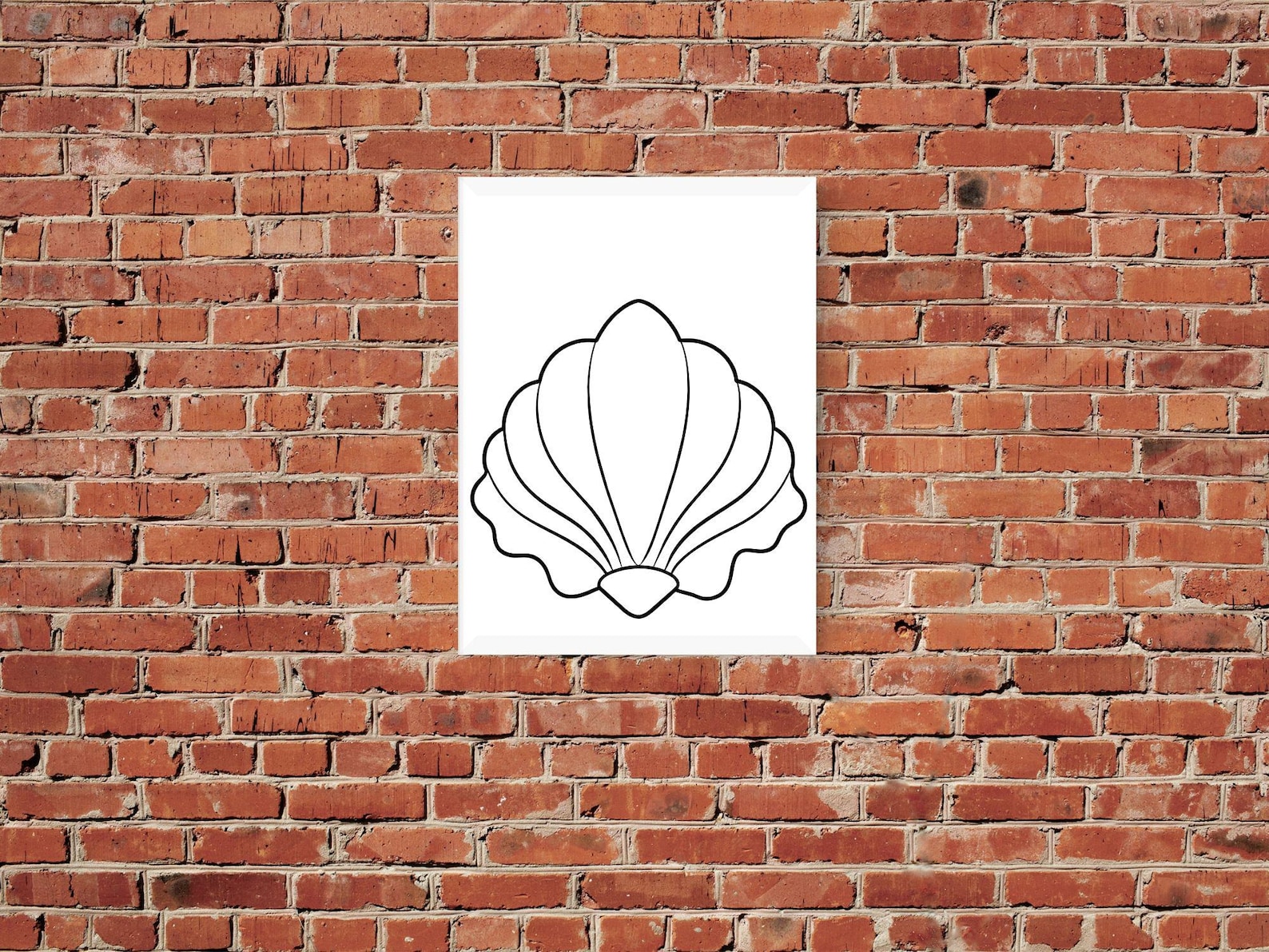 Seashell SVG Bundle: Clipart, Cut Files, Silhouette (digital Download ...