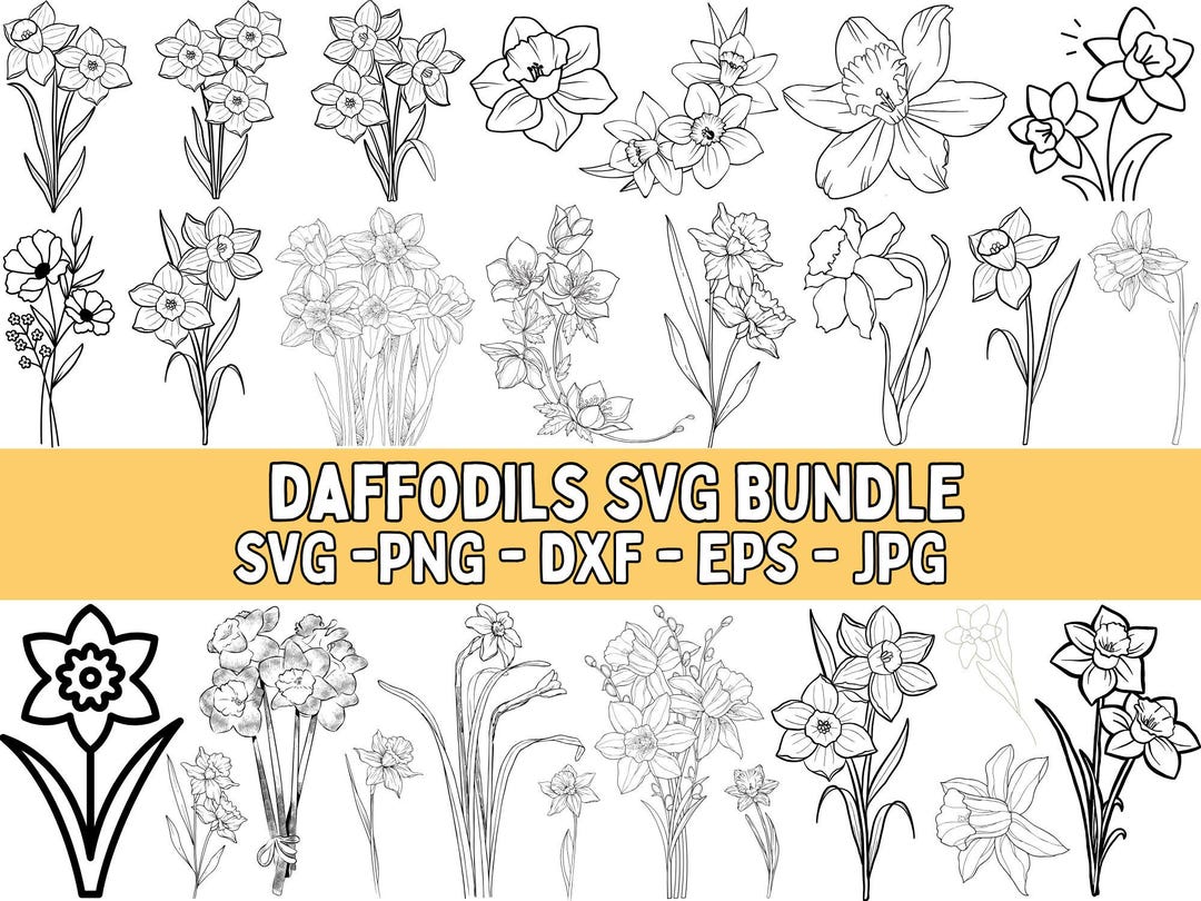 Daffodil SVG Bundle: Hand-drawn Flower Clipart (instant Download ...