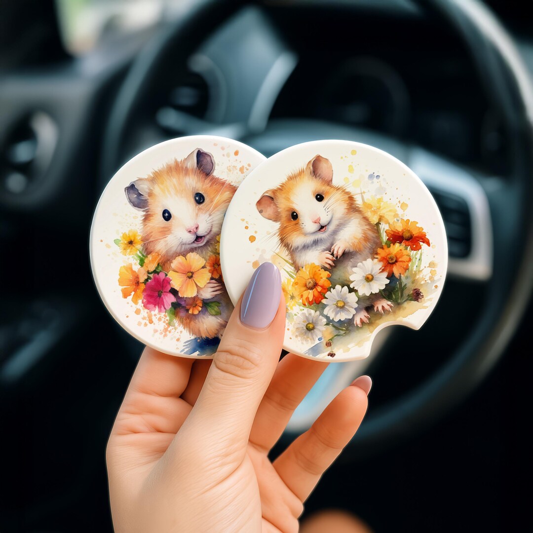 Hamster Car Coasters - Set of 2 - Multiple Designs Available - Etsy