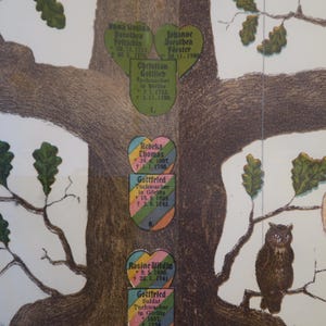 Finster Family Tree | Görlitz, Germany | 1657–1900 | High-resolution ...