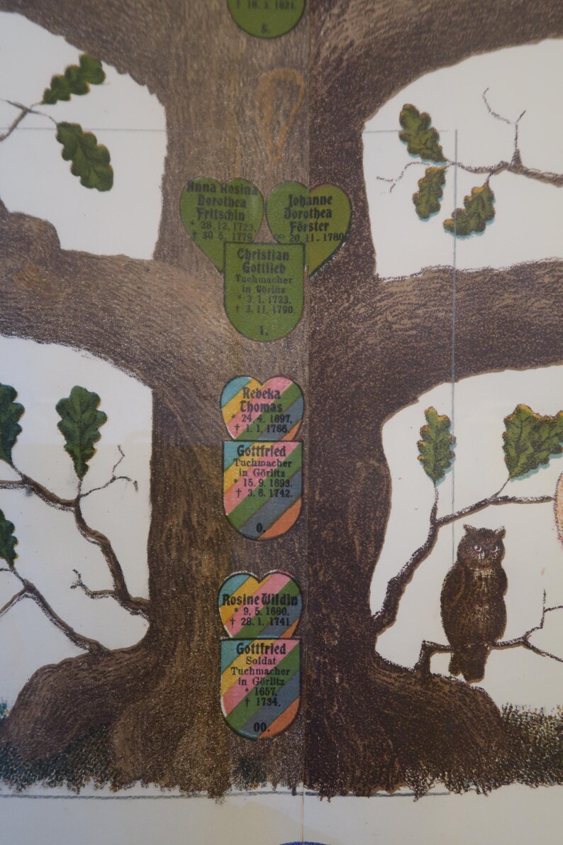 Finster Family Tree | Görlitz, Germany | 1657–1900 | High-resolution ...