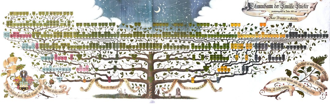 Finster Family Tree | Görlitz, Germany | 1657–1900 | High-resolution ...