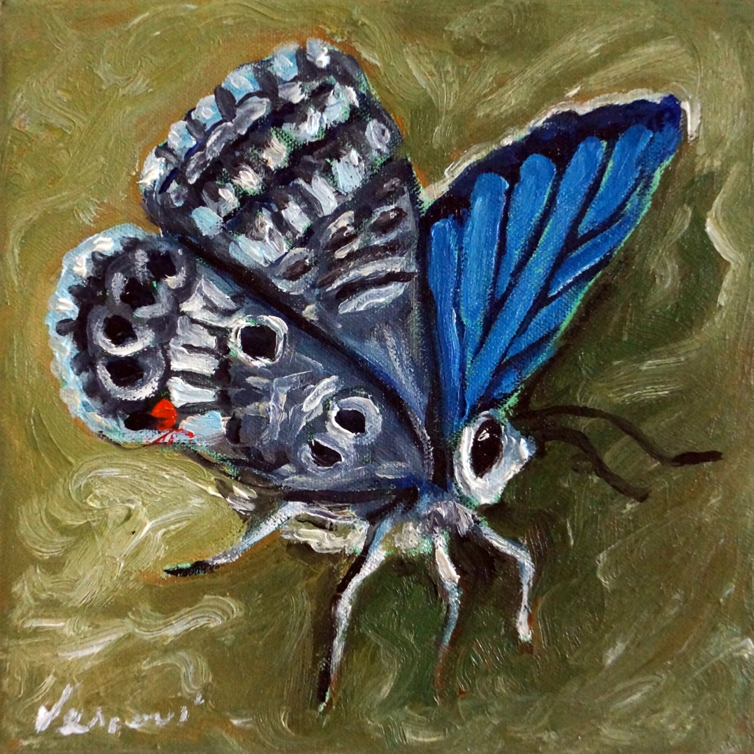 Miami Blue Butterfly, an Original Oil Painting of an Endangered ...