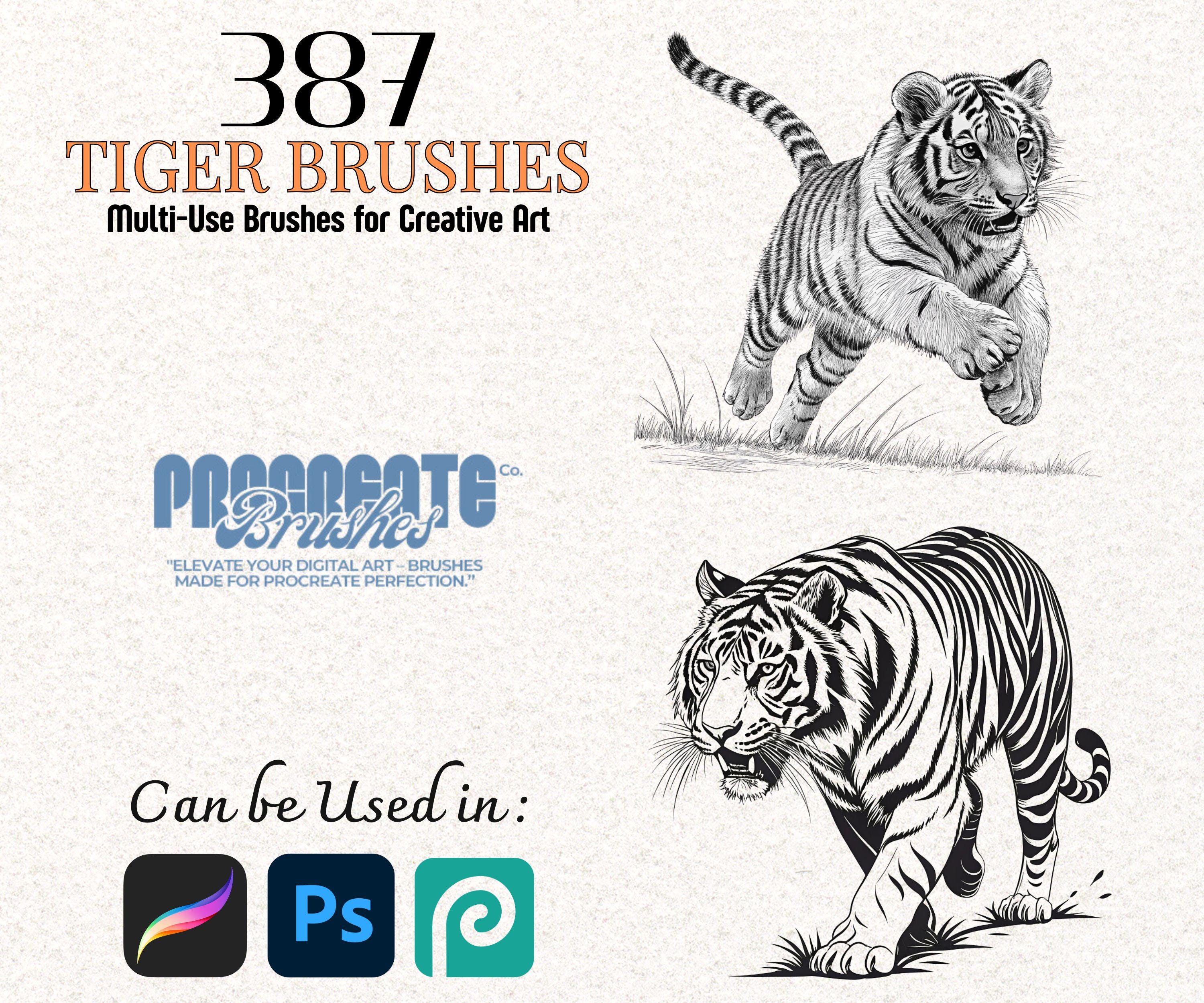 387 Tiger Brushes for Procreate and Photoshop – the Ultimate Wildlife ...