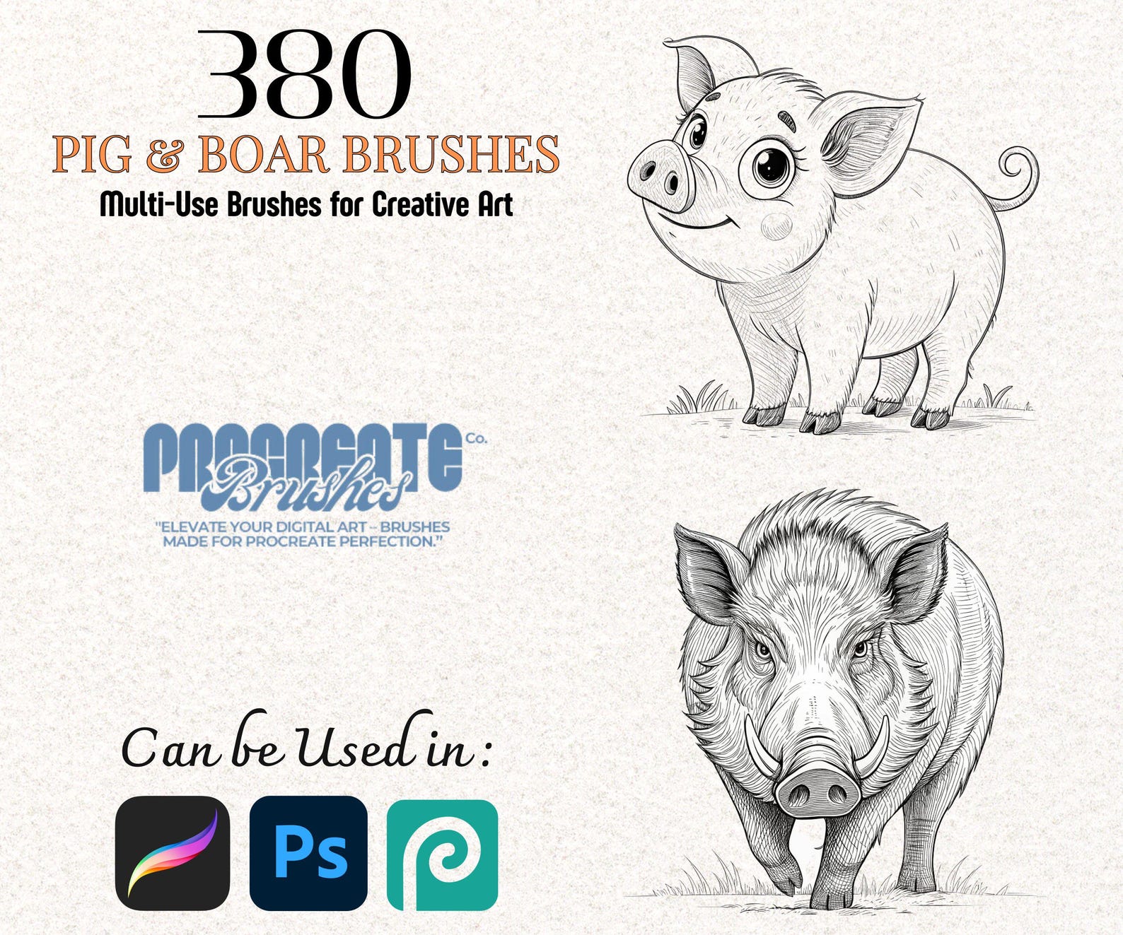 380 Pig Boar Brushes for Procreate & Photoshop – Tattoo Line Art Stamp ...