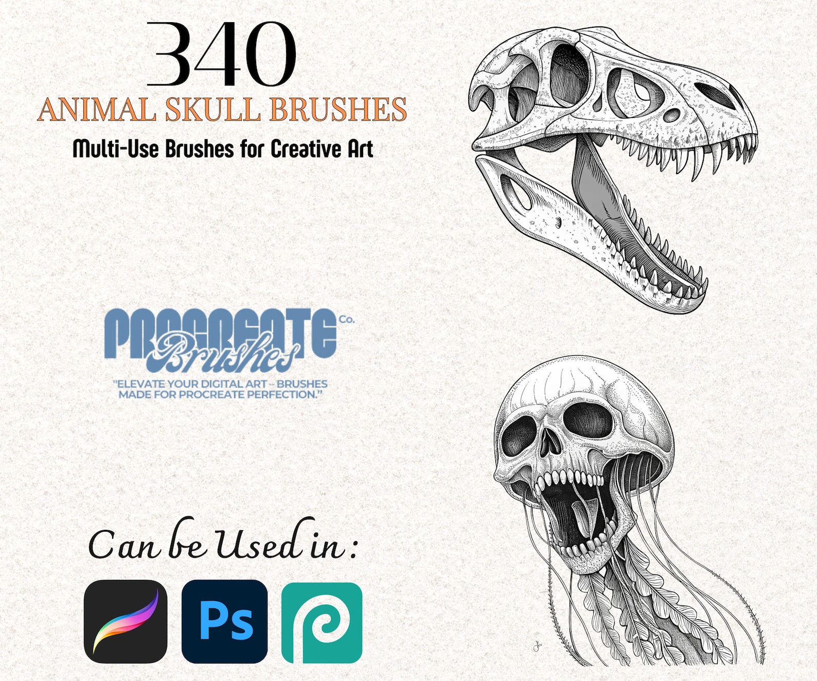 340 Animal Skull Brushes for Procreate & Photoshop – Line Art Stamp Set ...