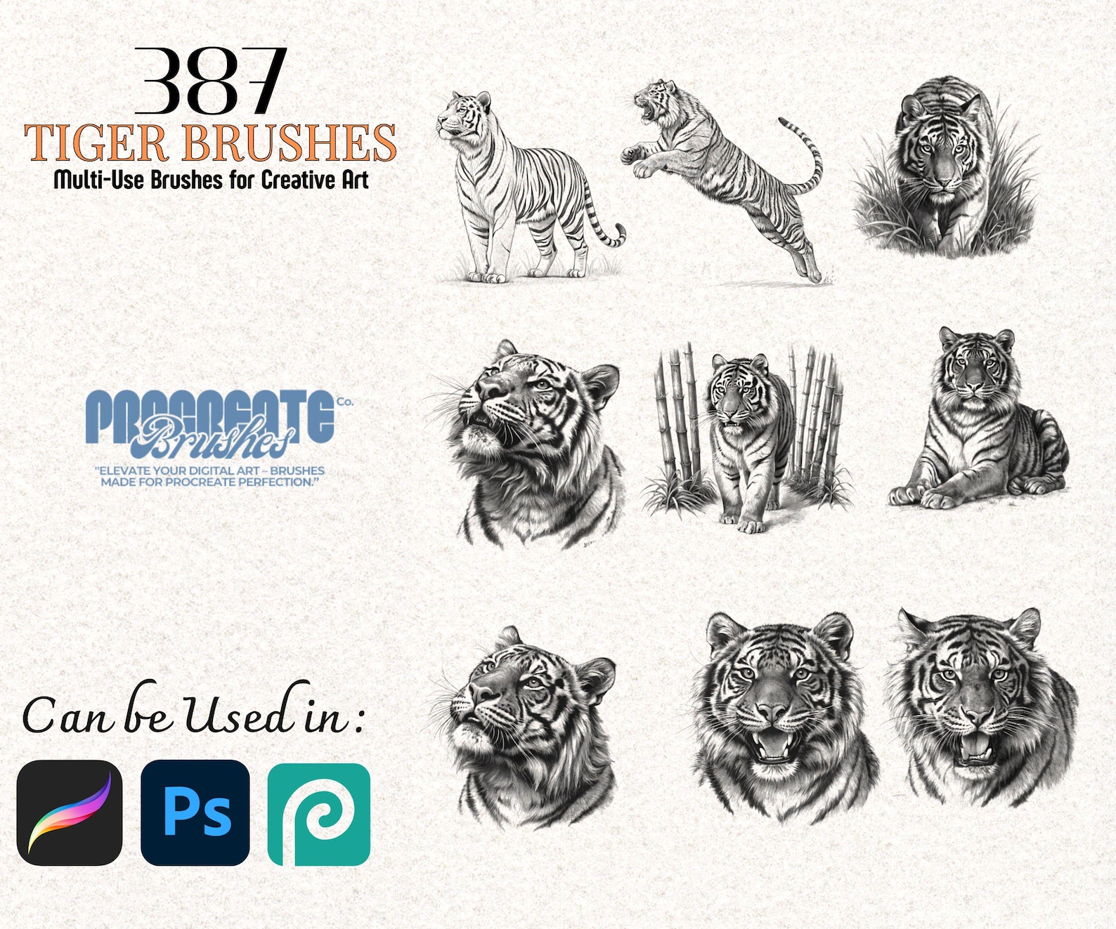 387 Tiger Brushes for Procreate and Photoshop – the Ultimate Wildlife ...
