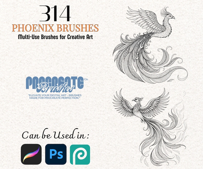 314 Phoenix Brushes for Procreate & Photoshop – Mythical Bird Stamp ...
