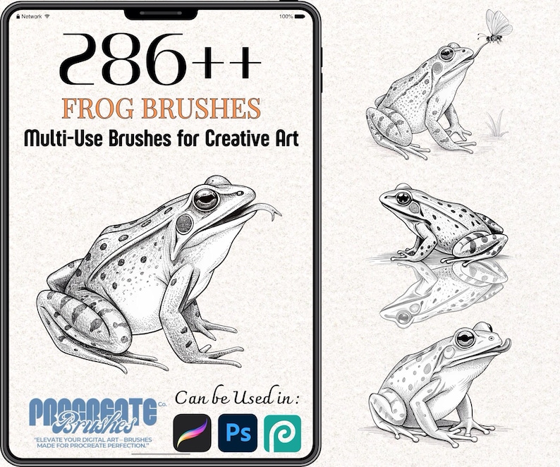 286+ Frog Brushes for Procreate & Photoshop – Amphibian Stamp, Line Art ...