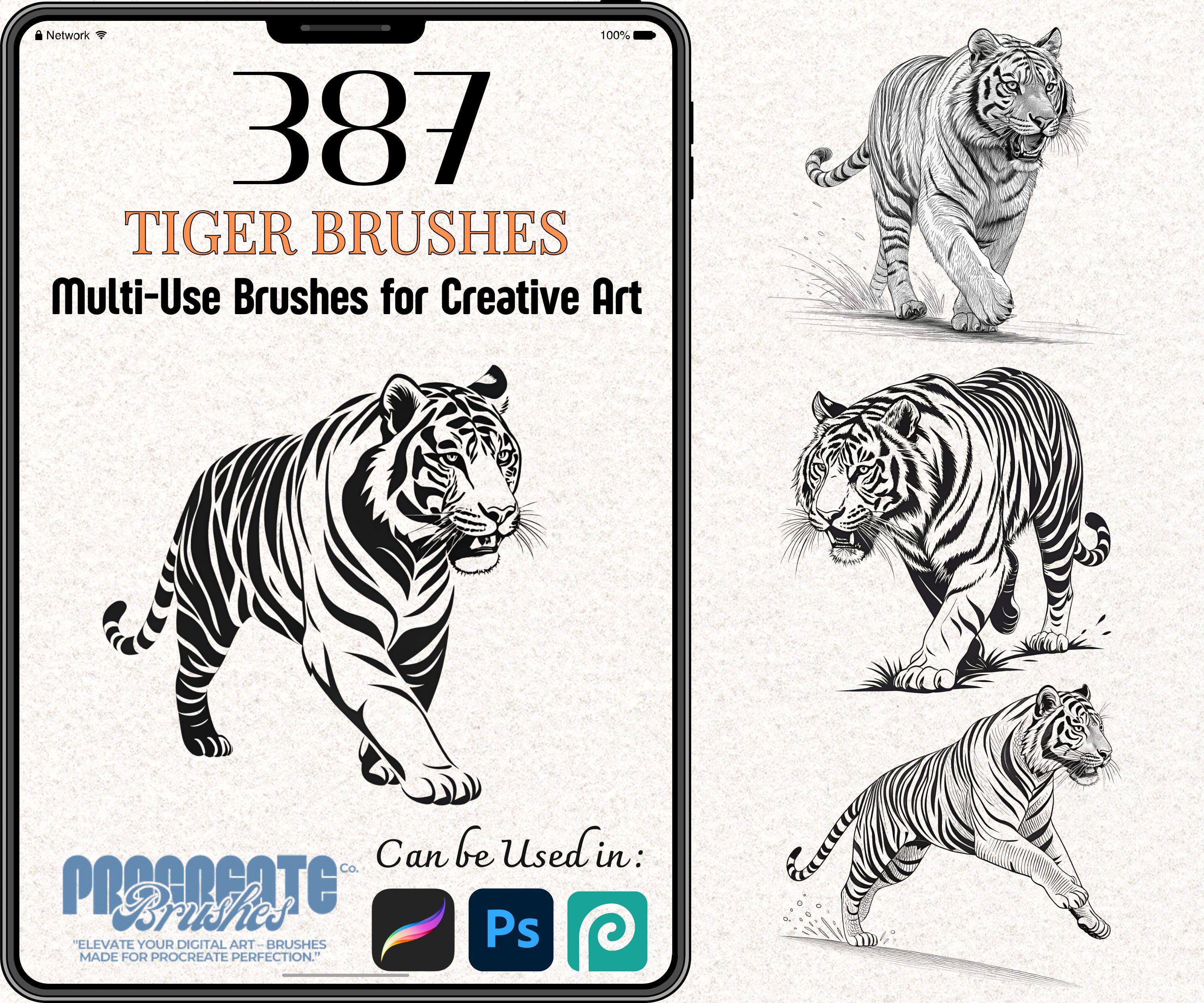 387 Tiger Brushes for Procreate and Photoshop – the Ultimate Wildlife ...