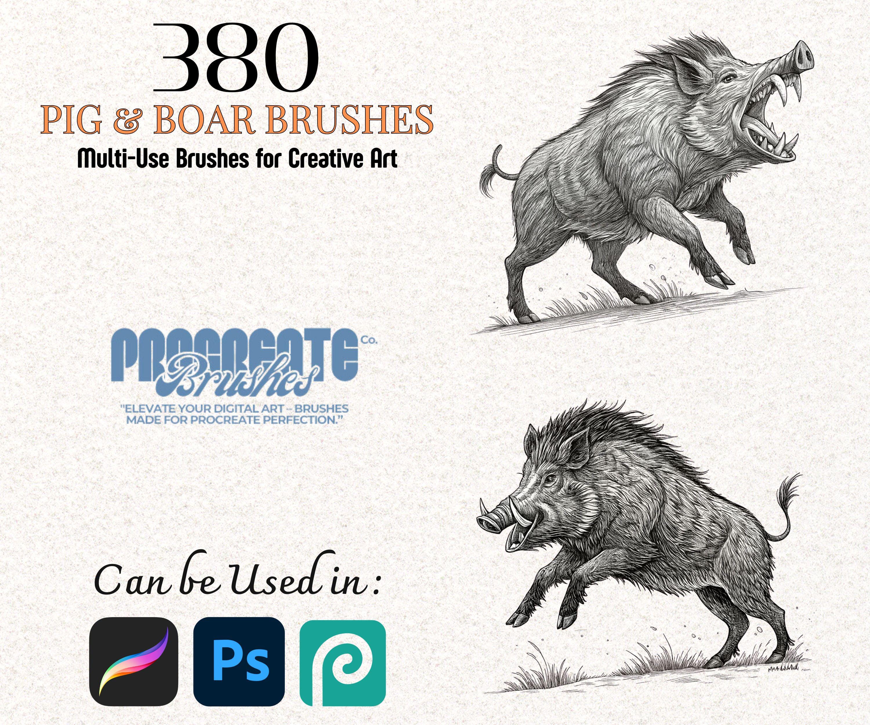 380 Pig Boar Brushes for Procreate & Photoshop – Tattoo Line Art Stamp ...