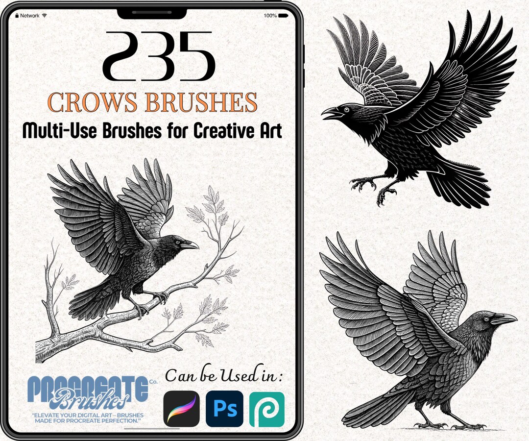 235 Crow Bird Brushes for Procreate & Photoshop – Dark Avian Stamp, Line Art, Texture Brush Set ...