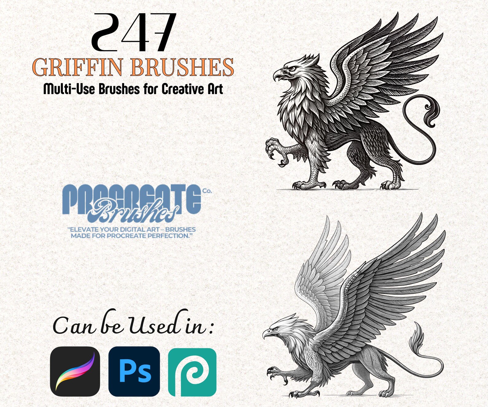 247 Griffin Gryphon Griffon Brushes for Procreate & Photoshop – Tattoo ...