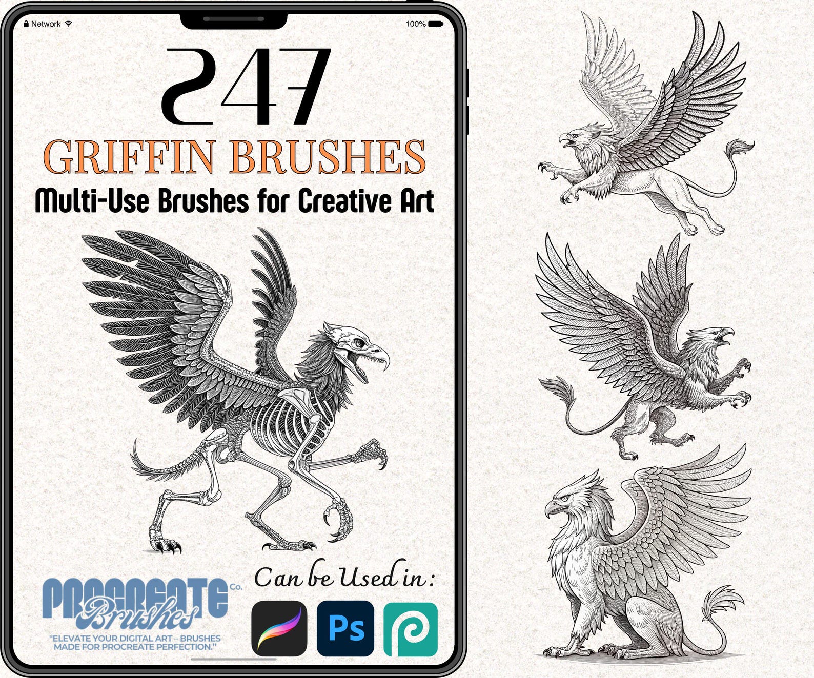 247 Griffin Gryphon Griffon Brushes for Procreate & Photoshop – Tattoo ...