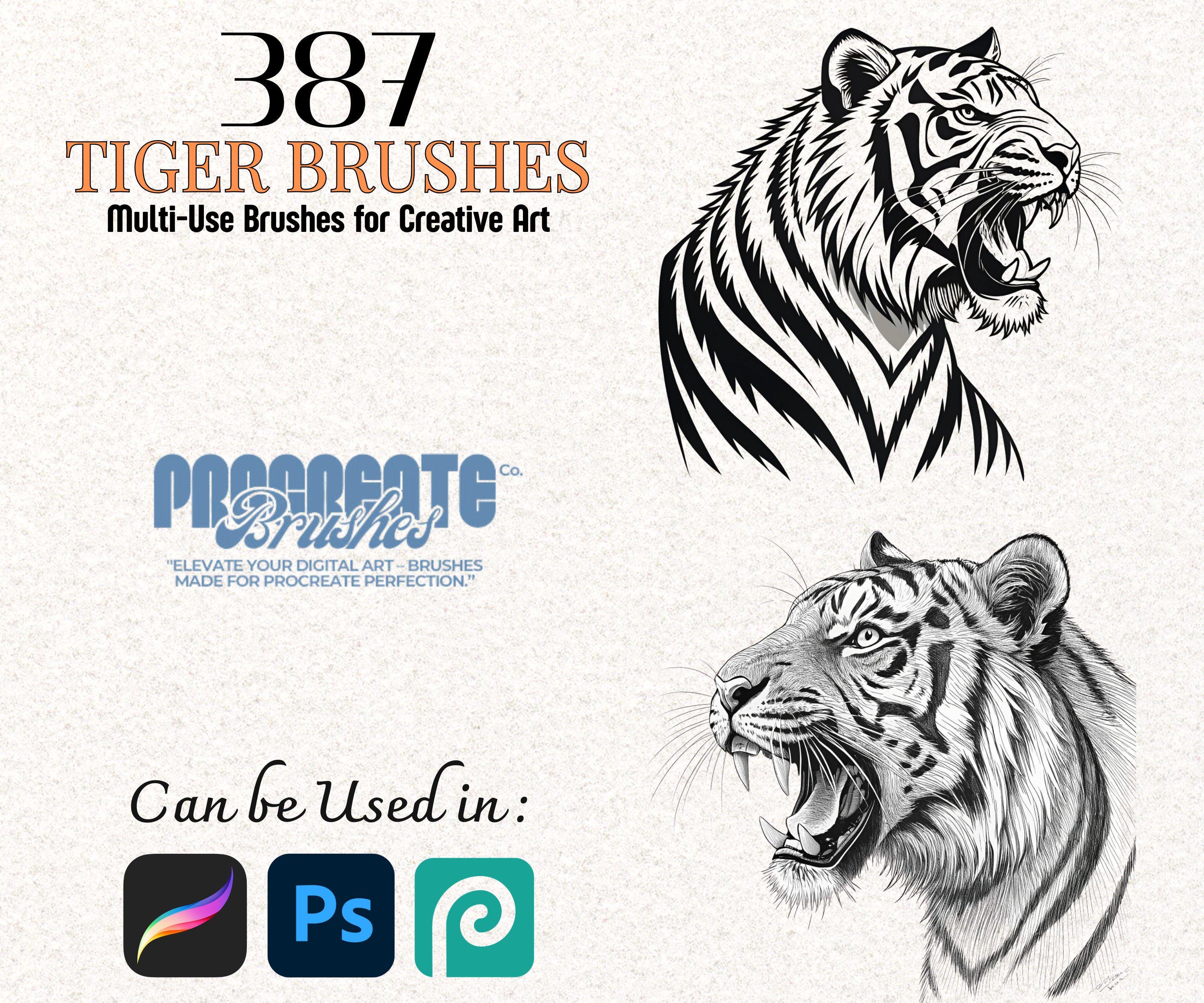 387 Tiger Brushes for Procreate and Photoshop – the Ultimate Wildlife ...