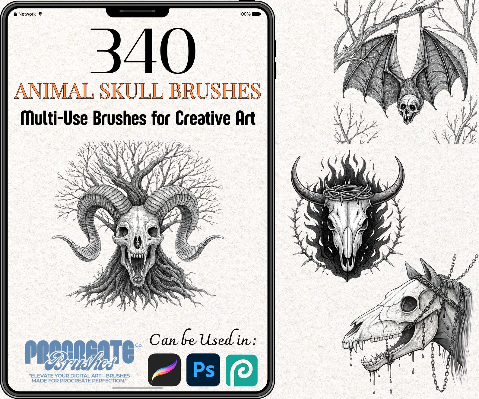 340 Animal Skull Brushes for Procreate & Photoshop – Line Art Stamp Set ...