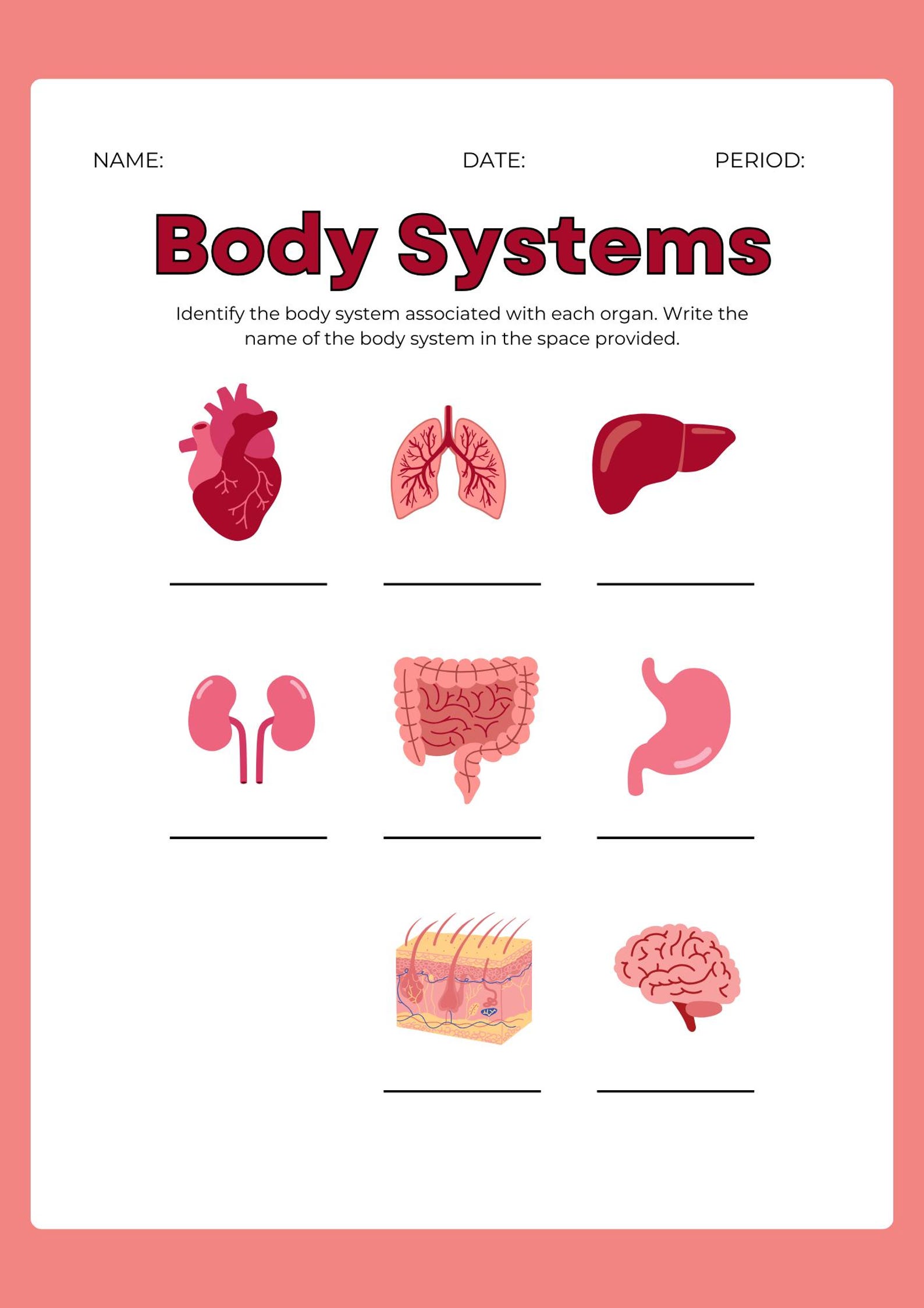 Body Parts Fun: Learn, Move, and Groove!" - Etsy