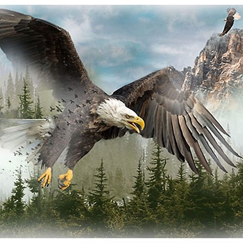 Eagle Fabric Panels - Etsy