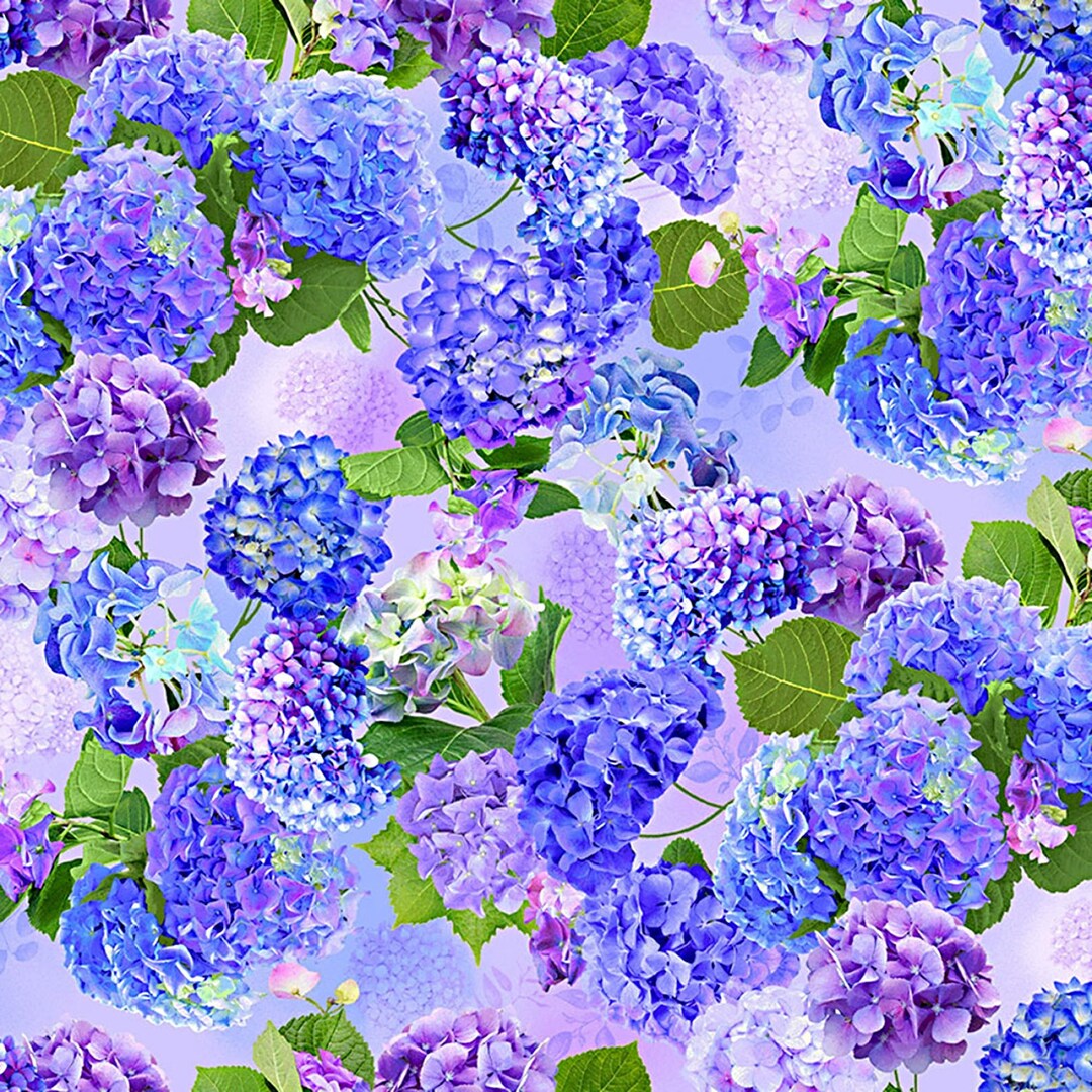 Purple Hydrangea Bliss Medium Timeless Treasures 1 Yard More Available ...