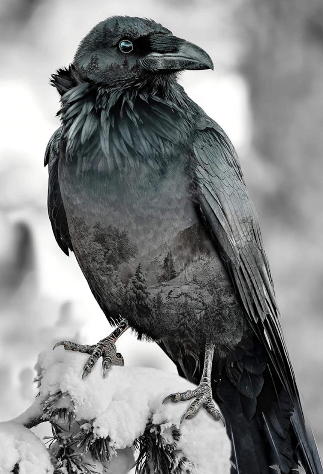 New - Raven Call of the Wild Digital - Hoffman Fabrics - 1 Panel (33.5 ...