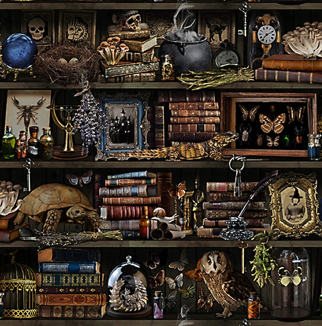 New - Apothecary Book Shelf - Mystic Haunted Library - Timeless ...
