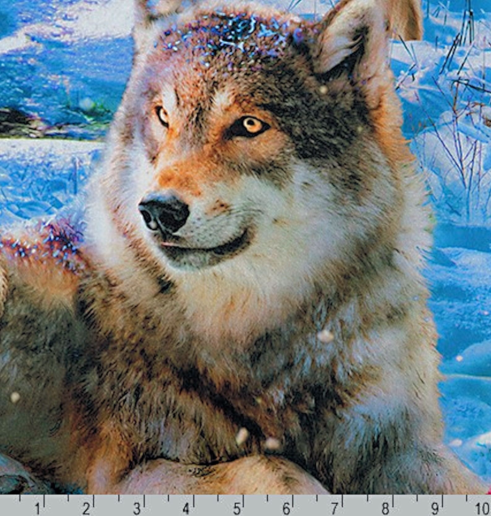 Nightfall Wolves Picture This Digital Robert Kaufman 1 - Etsy