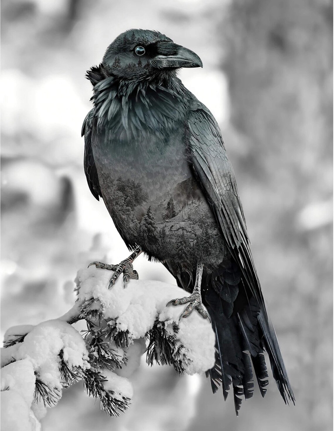 New - Raven Call of the Wild Digital - Hoffman Fabrics - 1 Panel (33.5 ...
