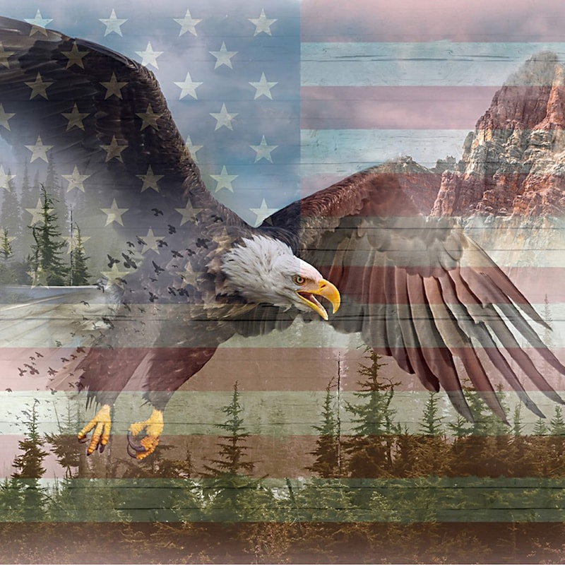 Eagle Fabric Panels - Etsy