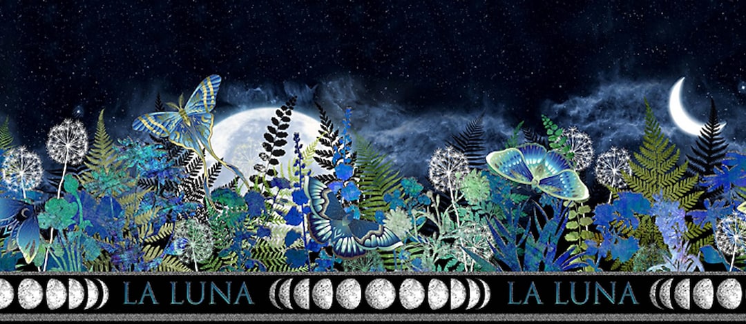 New - La Luna Border Stripe - Silver Metallic - in the Beginning ...