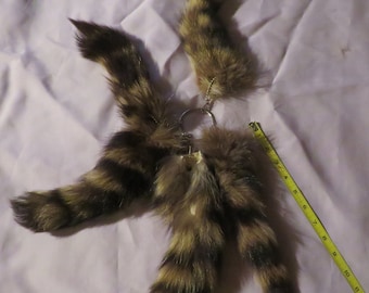 Raccoon Tails Raccoon Tail Keychain Taxidermy Keychain Raccoon Tail ...
