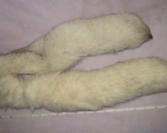 Ranch Fox Tails taxidermy/vulpes Vulpes - Etsy